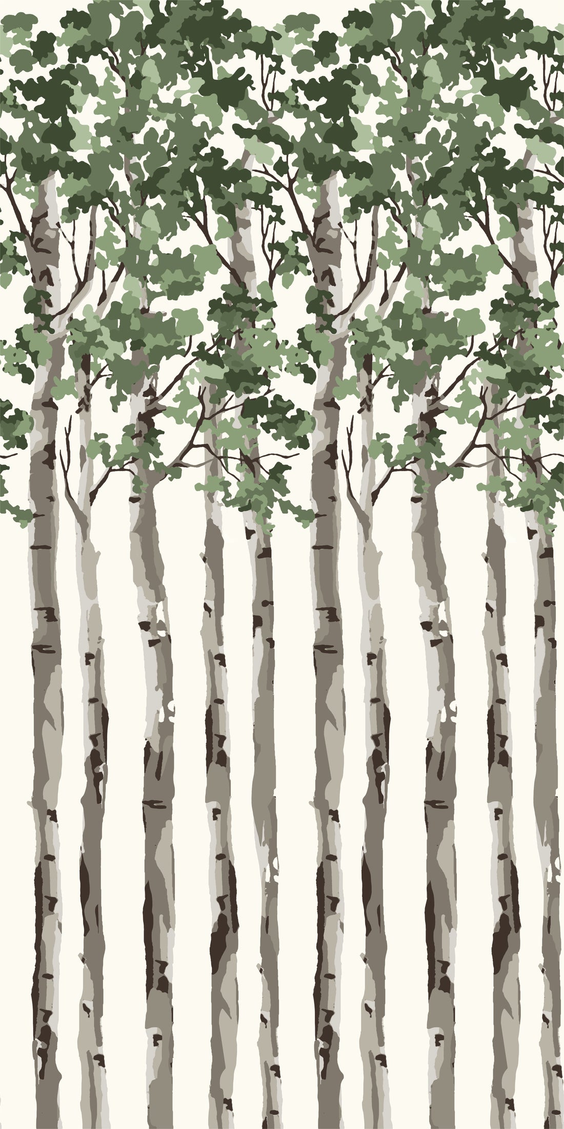 Birch Tree – Chasing Paper