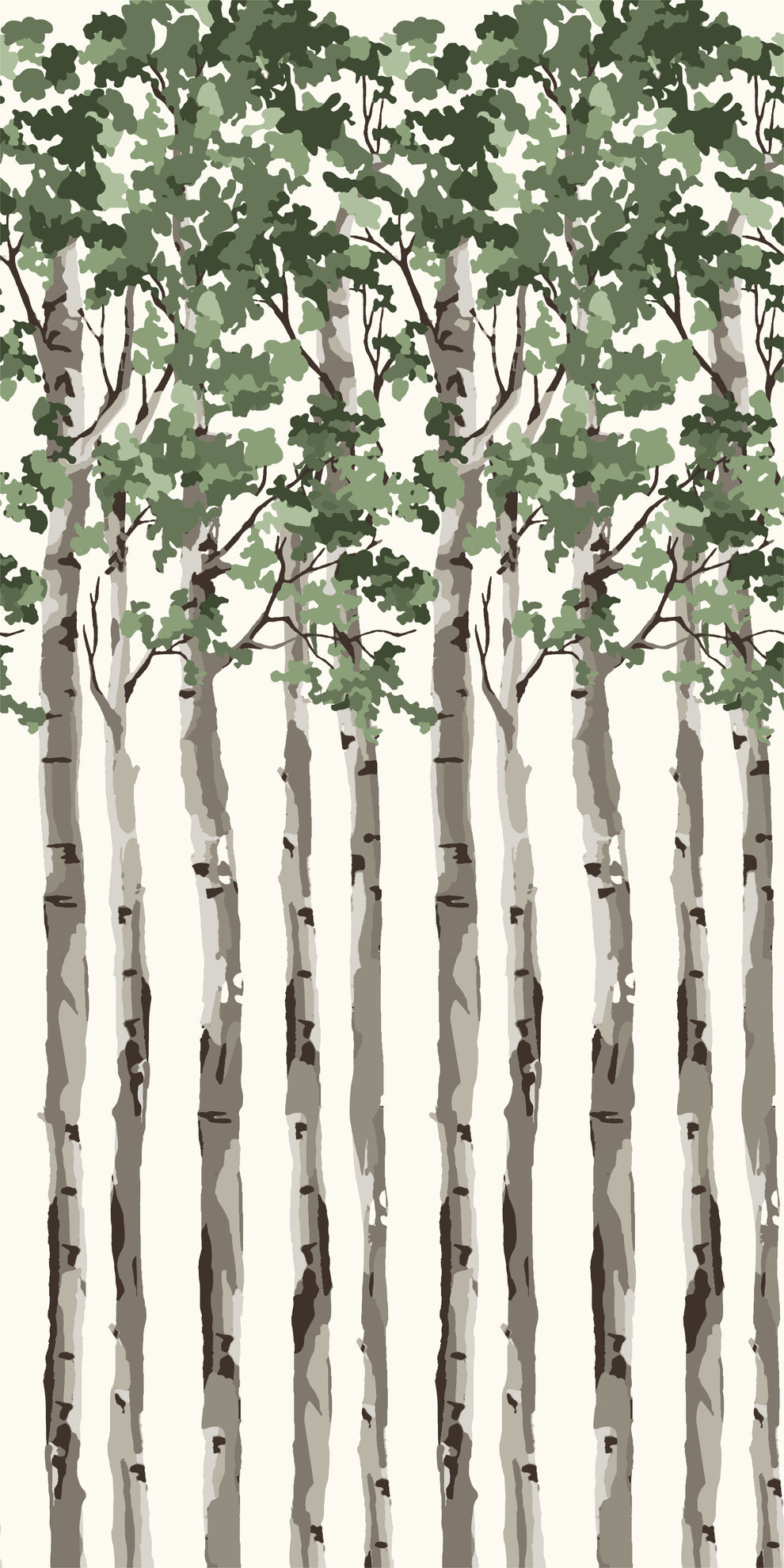 Birch Tree – Chasing Paper