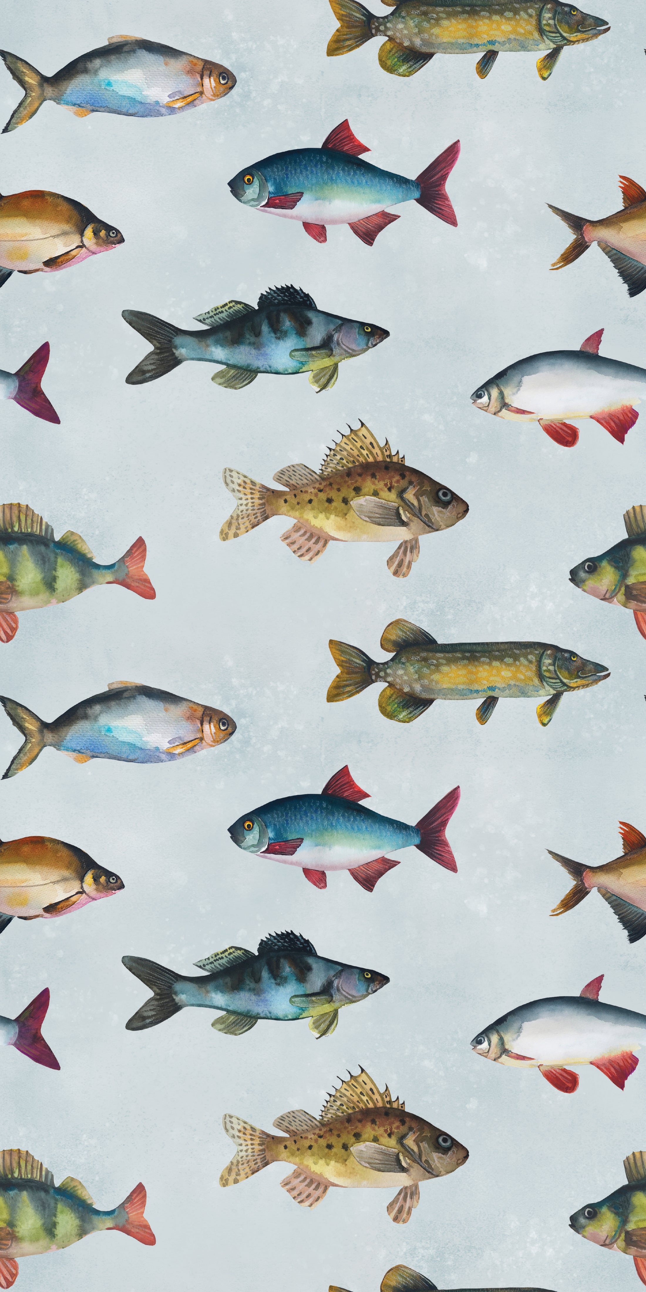 Freshwater Fish – Chasing Paper