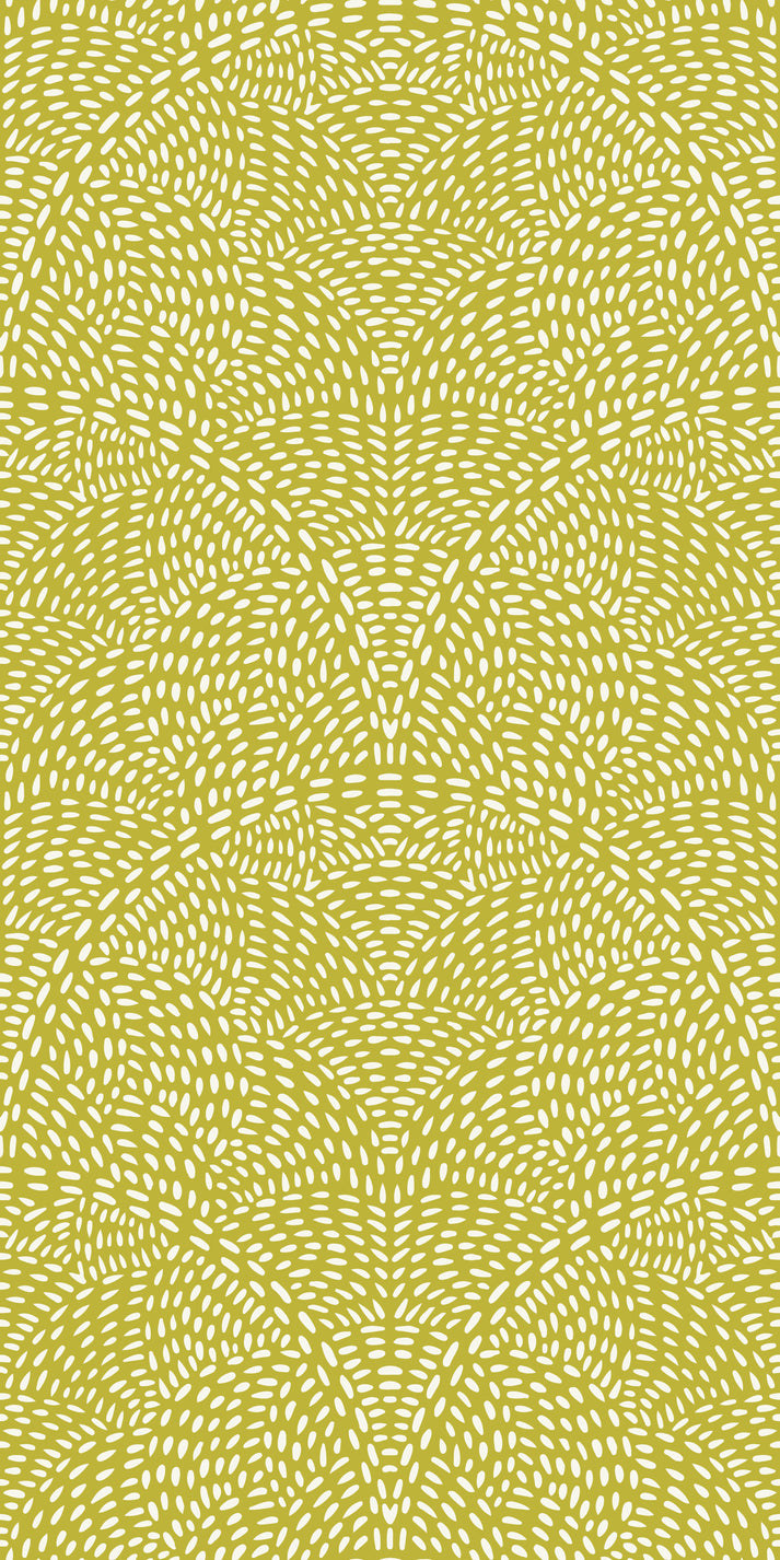 Grateful Thread – Chasing Paper