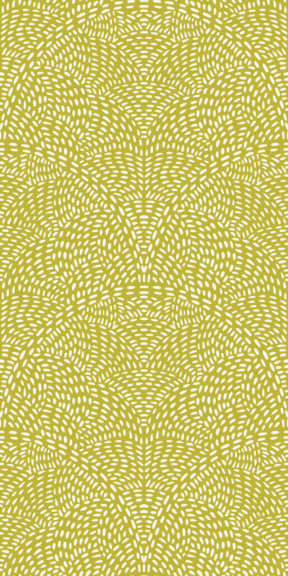 Grateful Thread – Chasing Paper