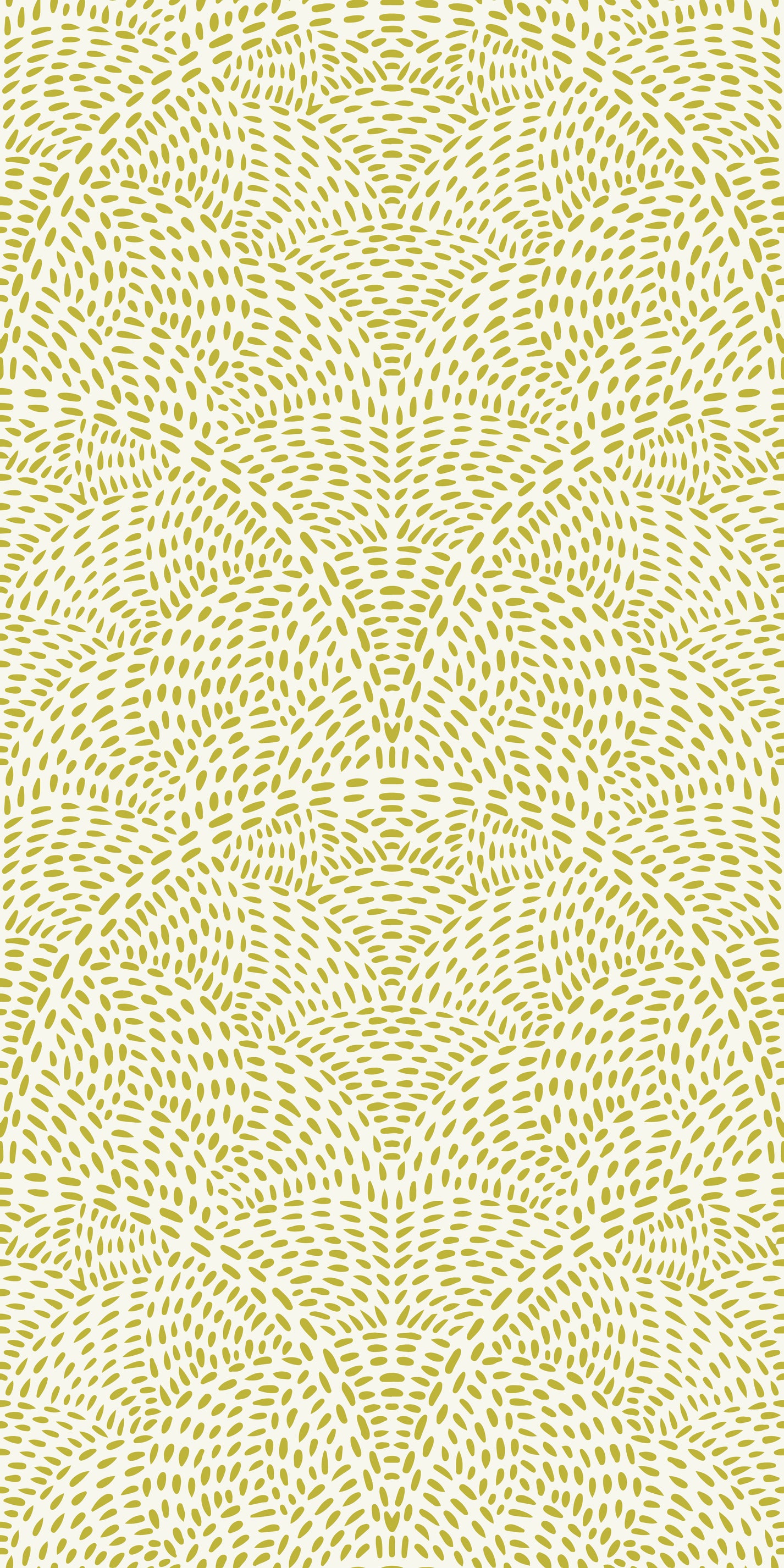 Grateful Thread – Chasing Paper