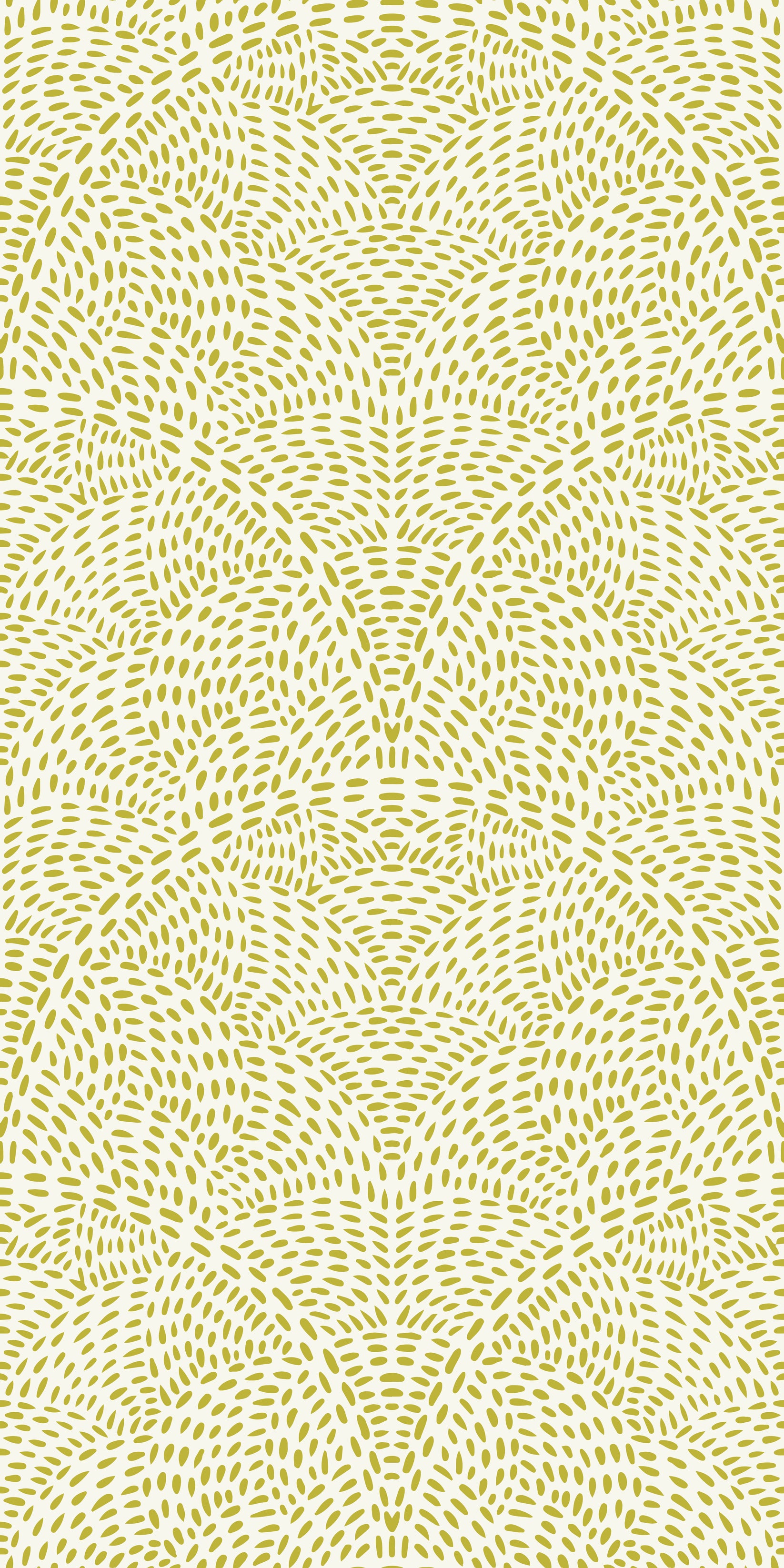 Grateful Thread – Chasing Paper