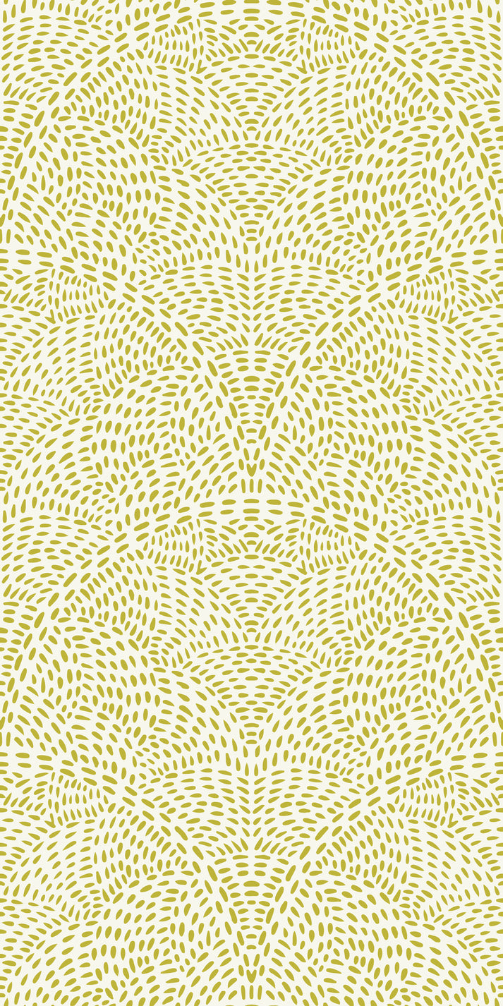 Grateful Thread – Chasing Paper