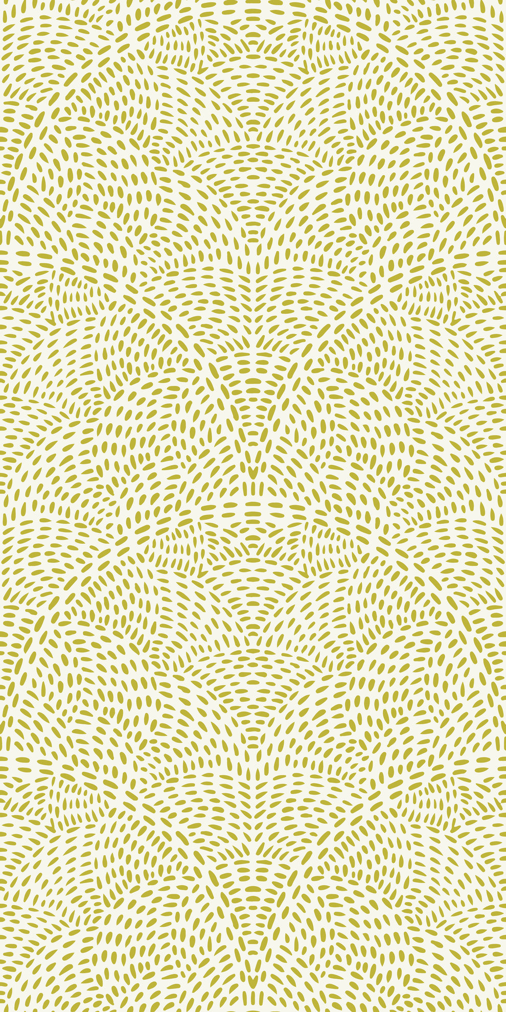 Grateful Thread – Chasing Paper