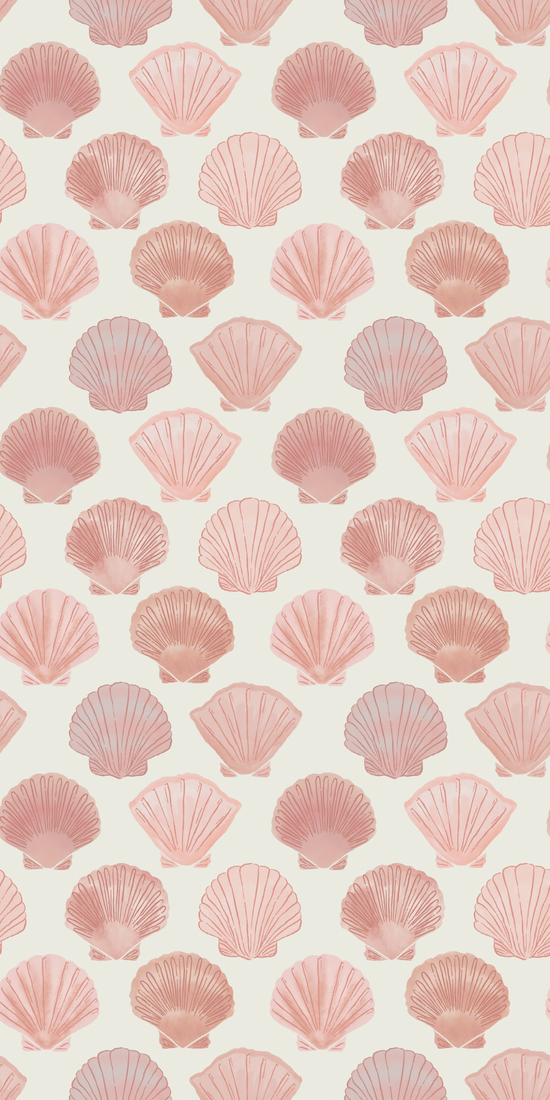 Shells – Chasing Paper