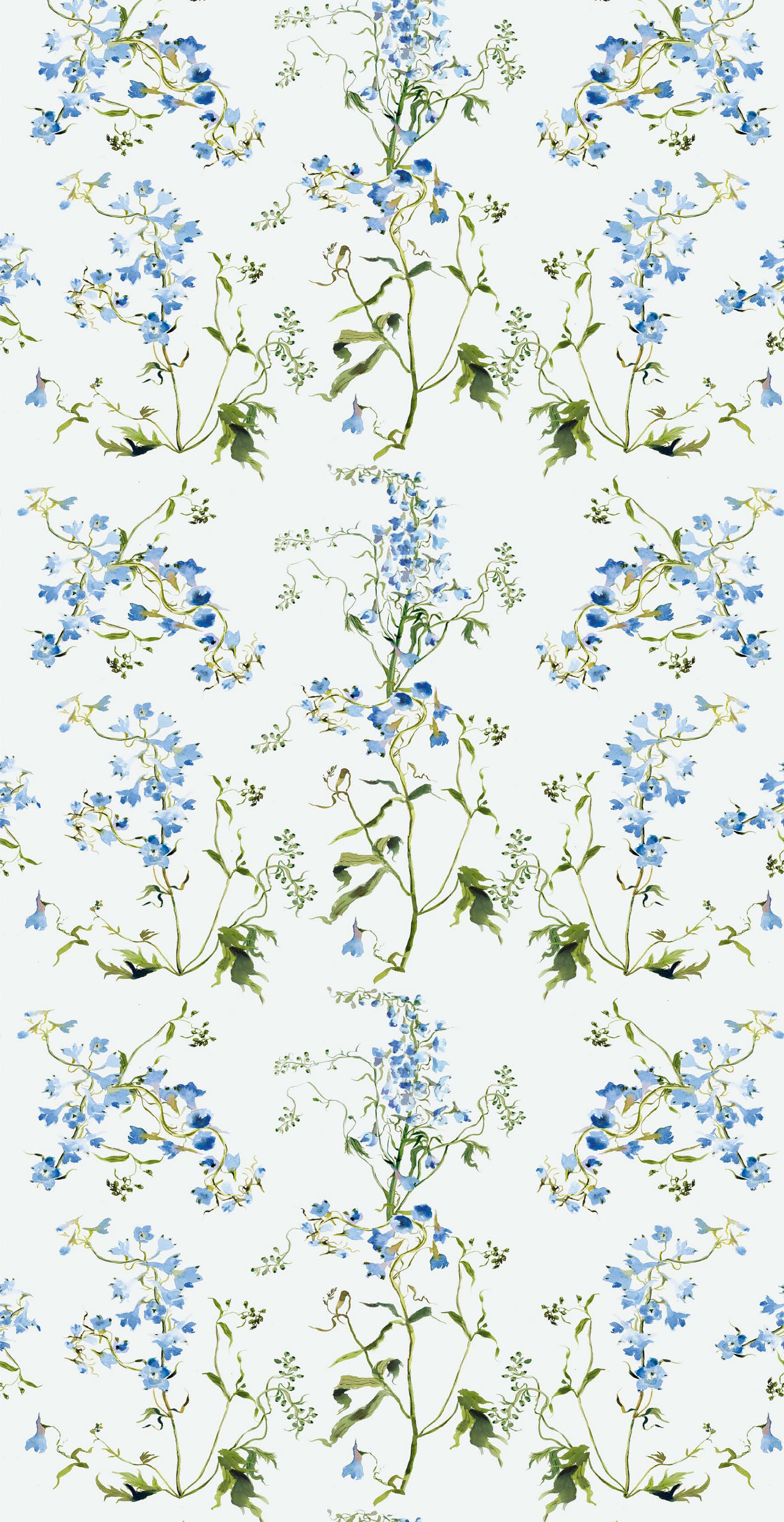 Delphinium – Chasing Paper