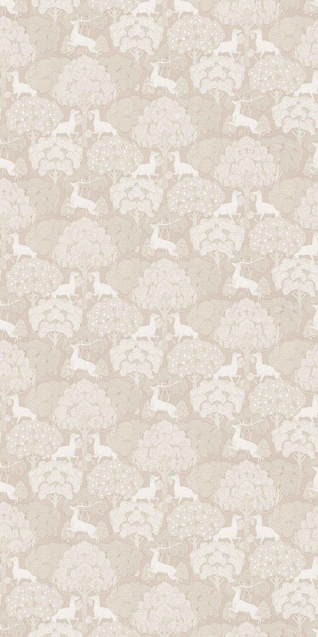 Forest – Chasing Paper