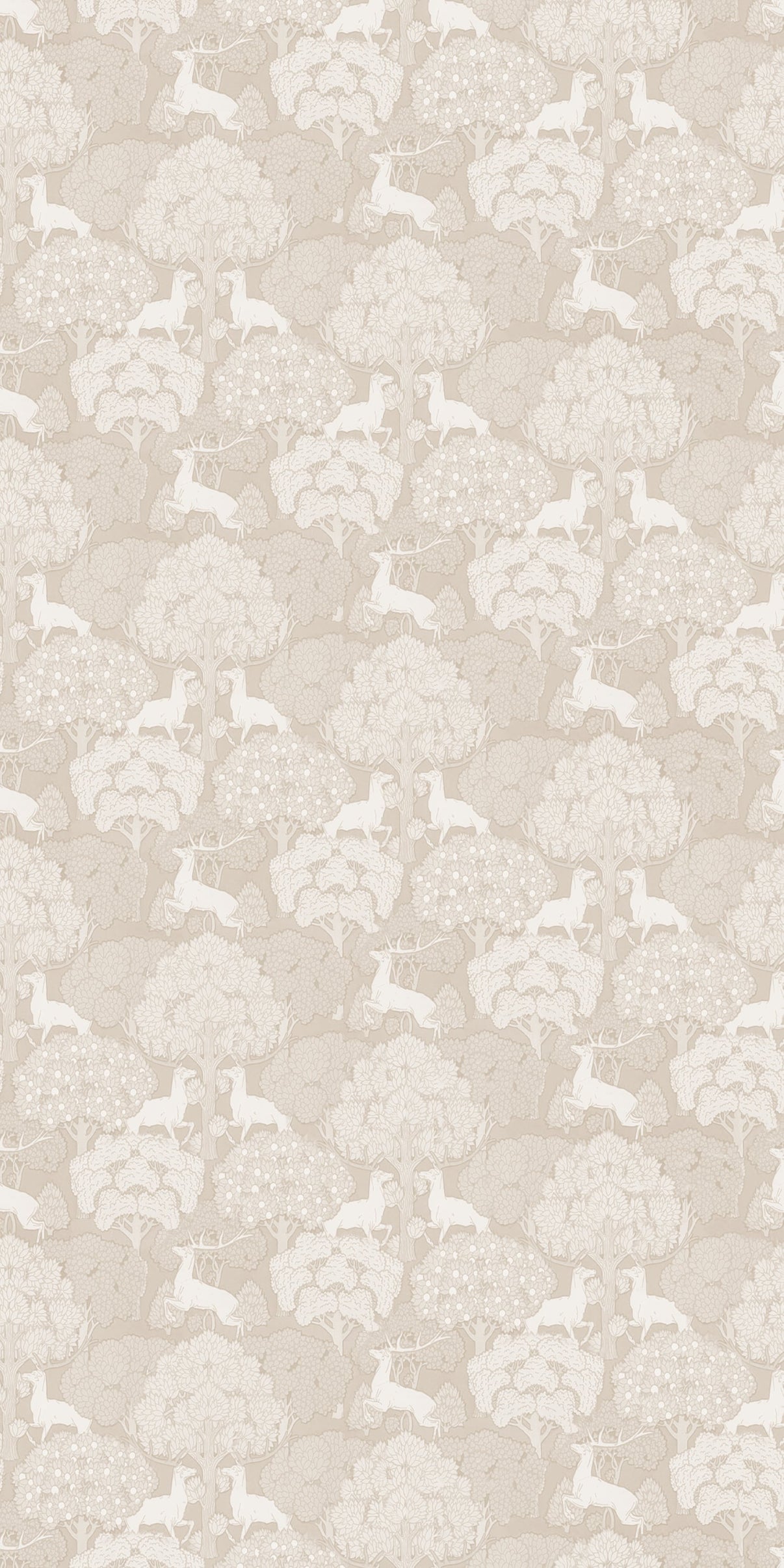 Forest – Chasing Paper