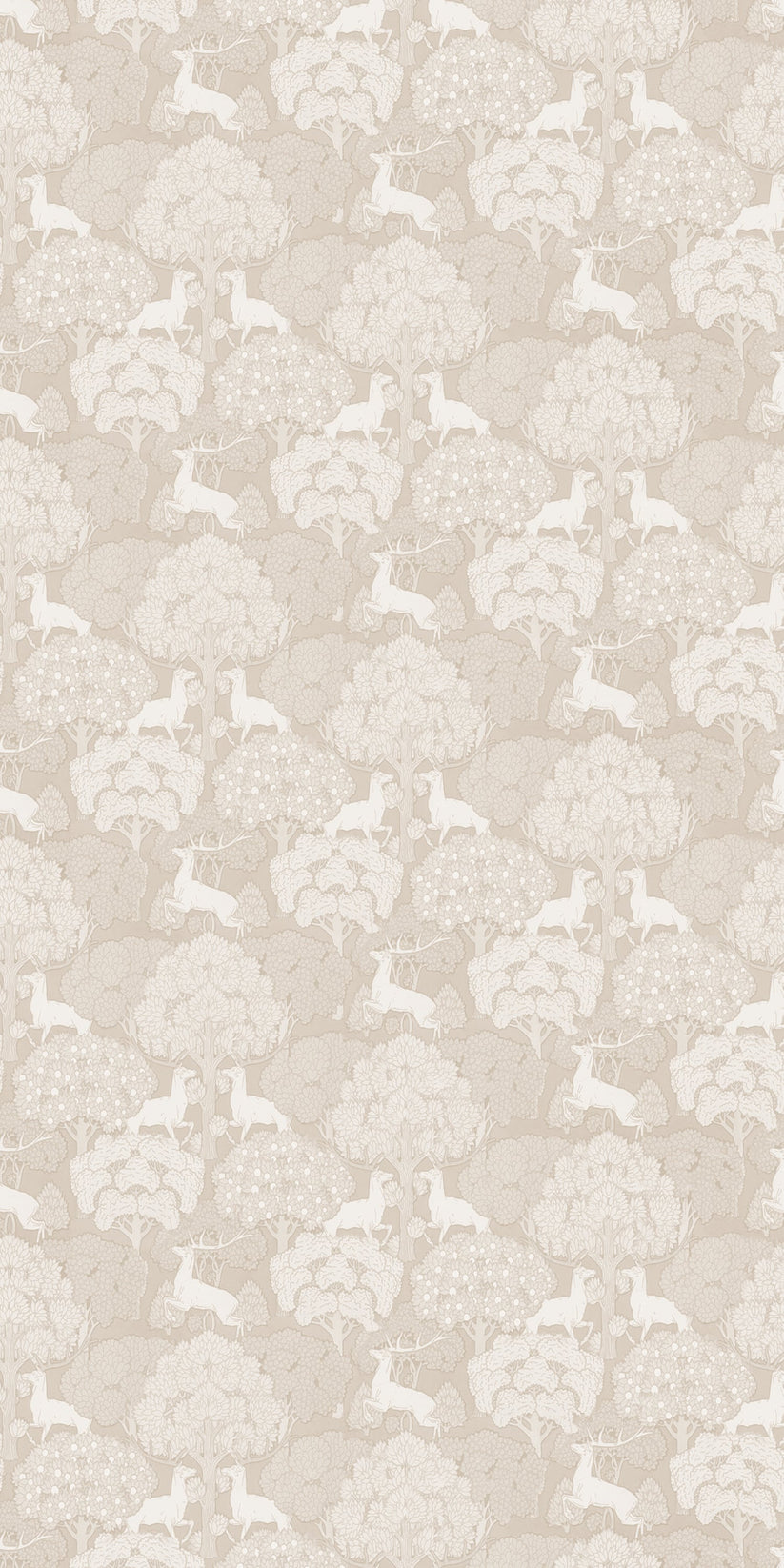 Forest – Chasing Paper