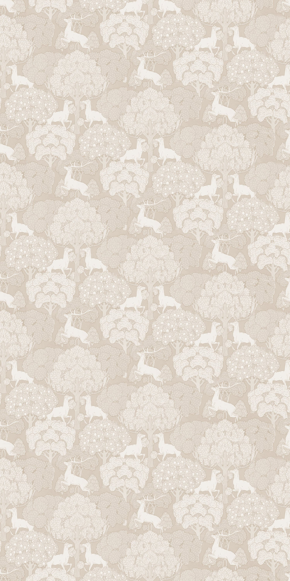 Forest – Chasing Paper