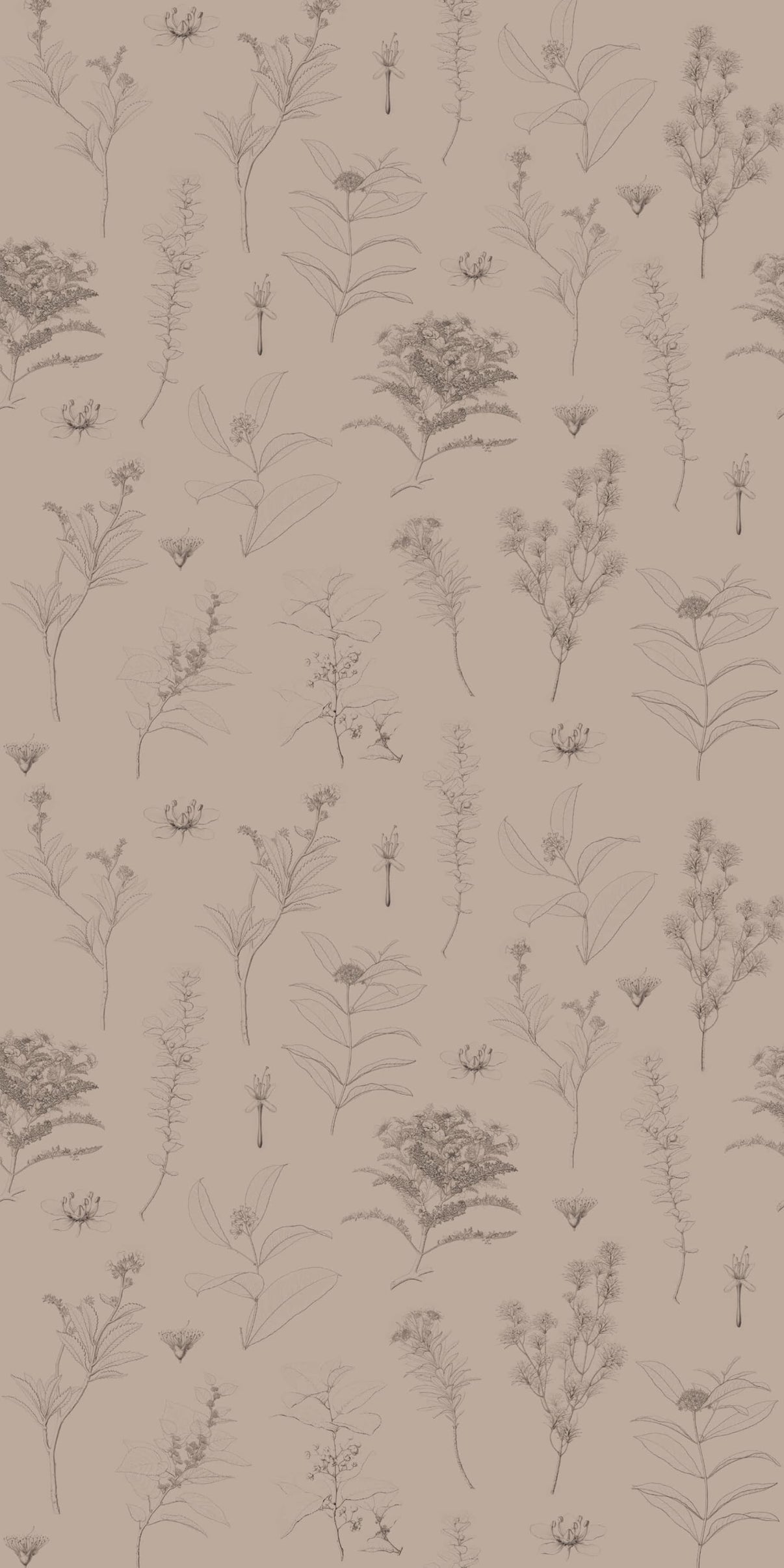 Gather – Chasing Paper