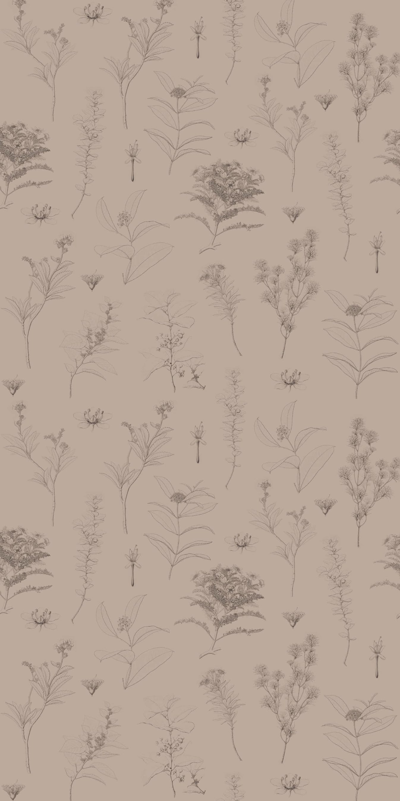 Gather – Chasing Paper