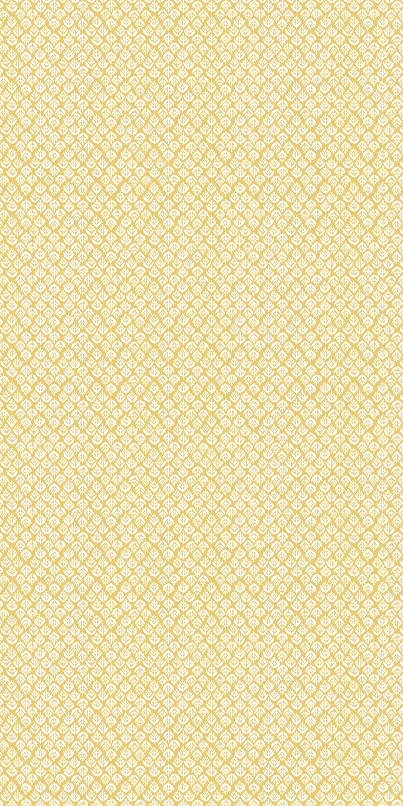 Jaipur – Chasing Paper