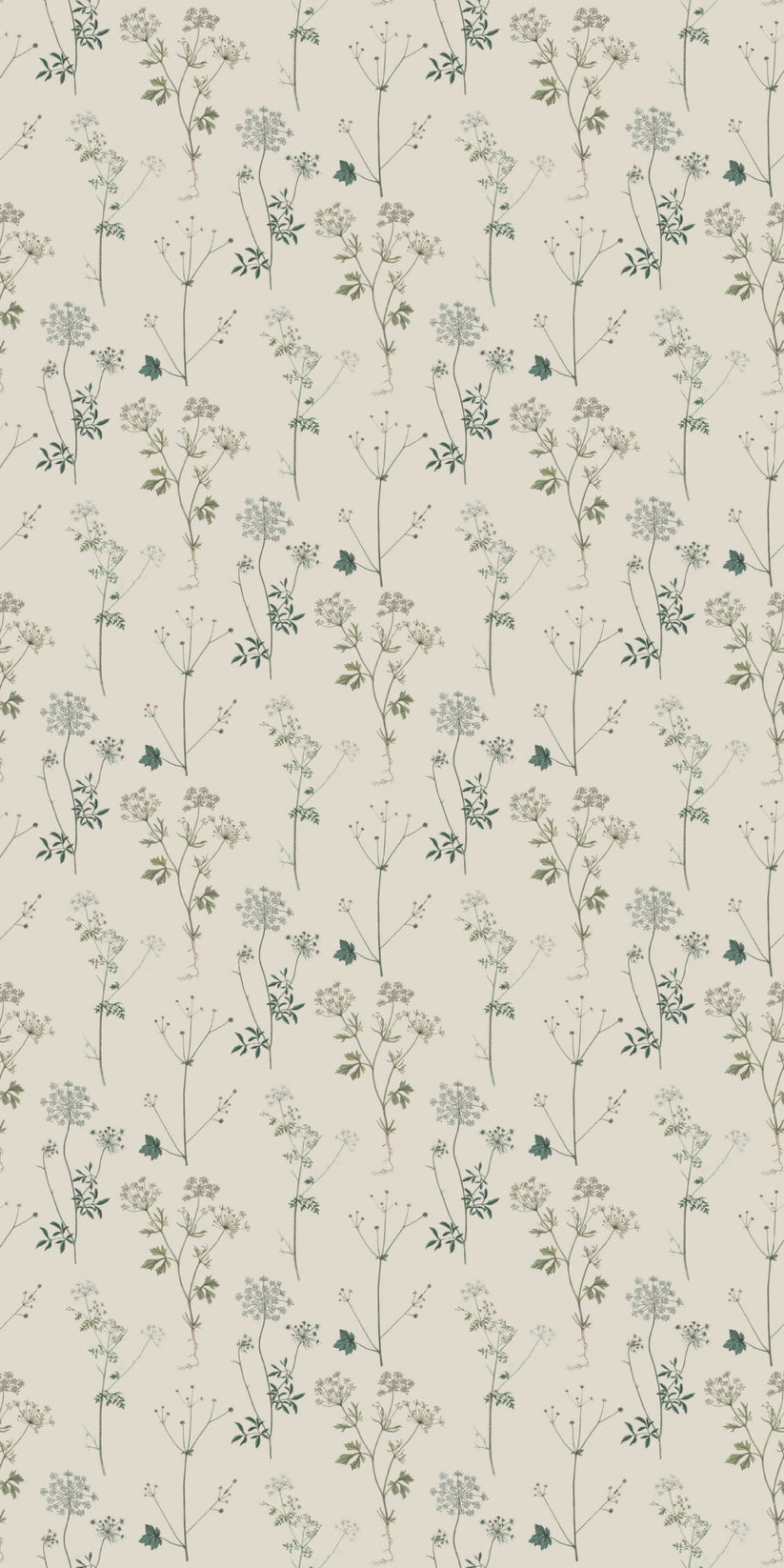 Lace – Chasing Paper