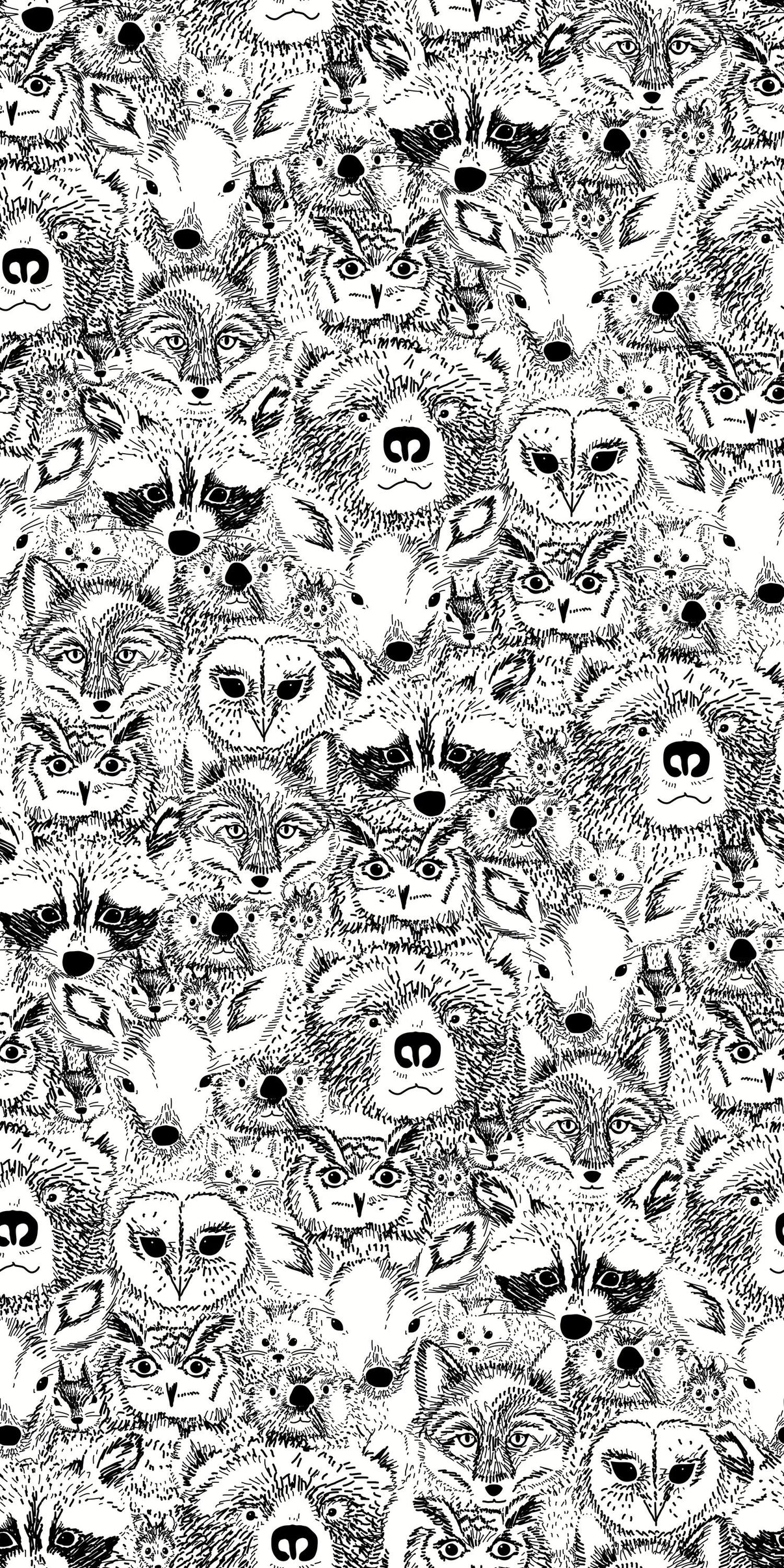 Wild – Chasing Paper
