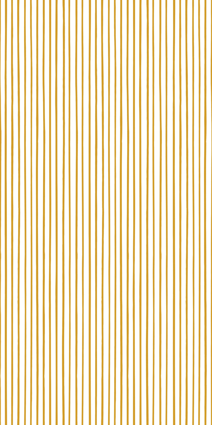 Stripes Away – Chasing Paper