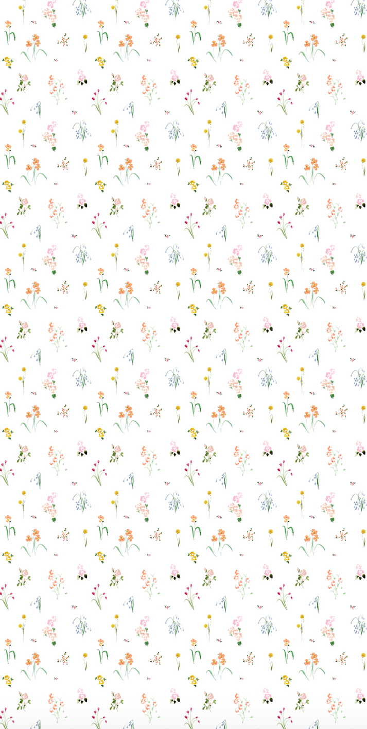 Petite Garden – Chasing Paper